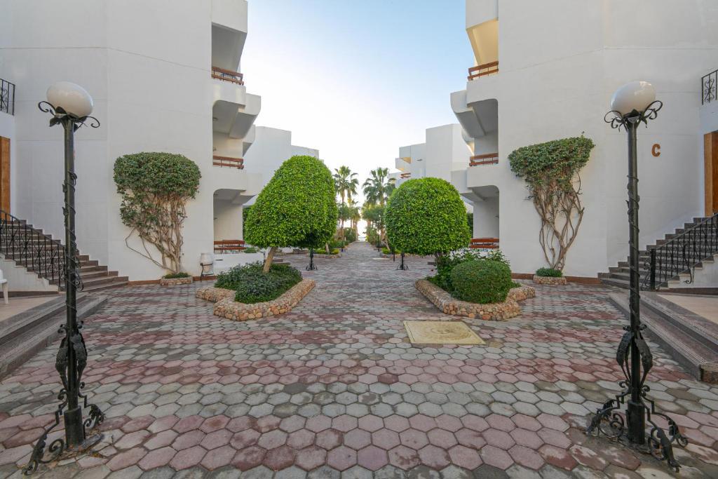 Marlin Inn Beach Resort | Hurgada Egipat | Odeon World Travel